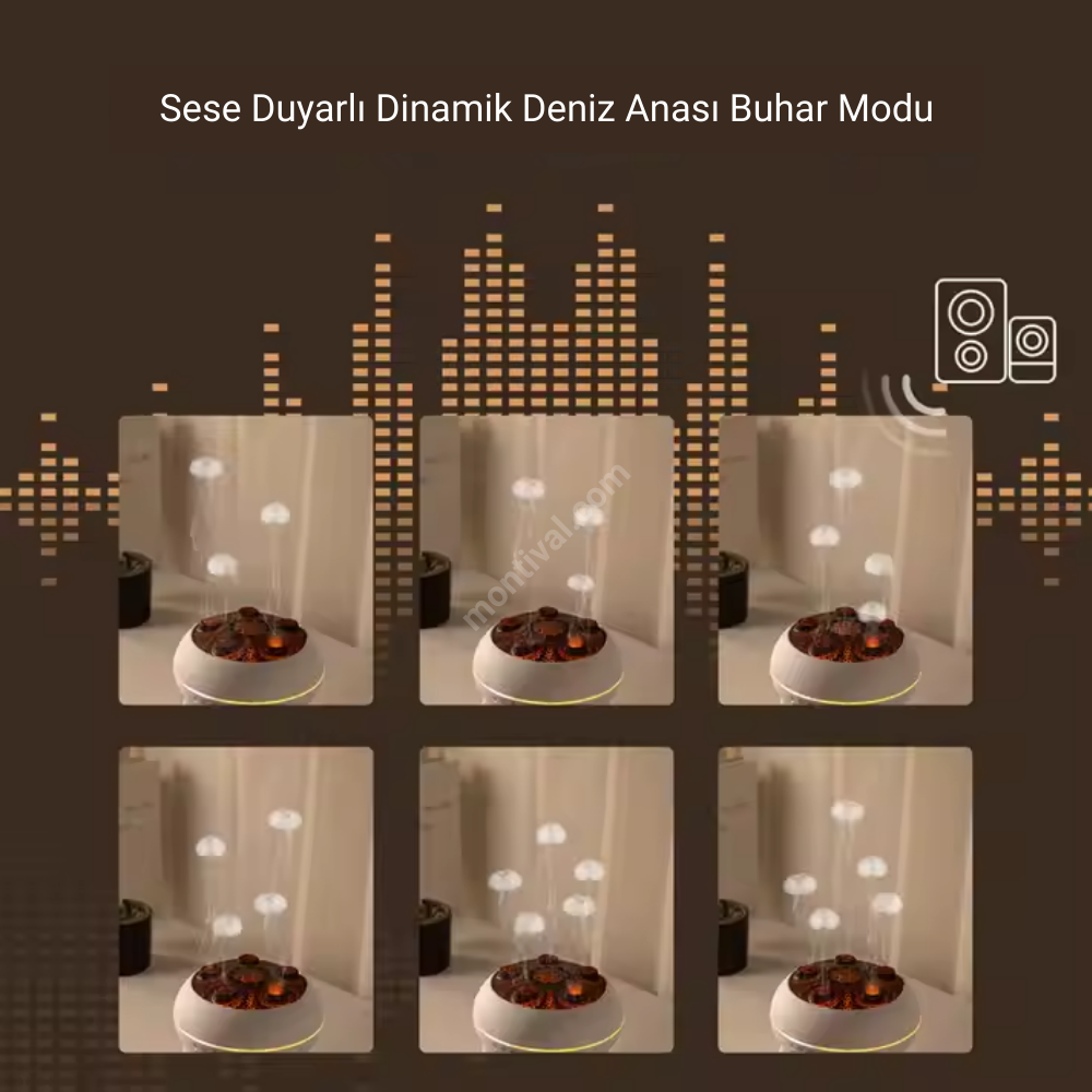 Montival Aquora™ Buhar Makinesi